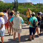 National Park Jeep Safari - Practical Details and Tips