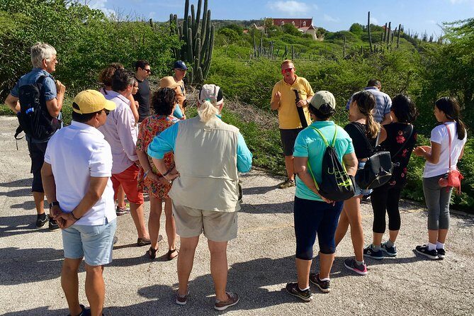 National Park Jeep Safari - Practical Details and Tips