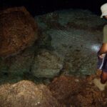 National Park of the East Private Hiking Tour with Swimming - Why This Tour Offers Excellent Value