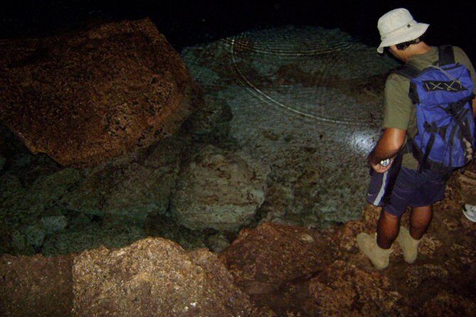 National Park of the East Private Hiking Tour with Swimming - Why This Tour Offers Excellent Value