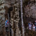 Natural Bridge Caverns Discovery Cavern Tour - Who Will Love This Tour?