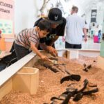 Natural History Museum LA: Entry + Fierce! The Story of Cats - Exploring the Rest of the Museum