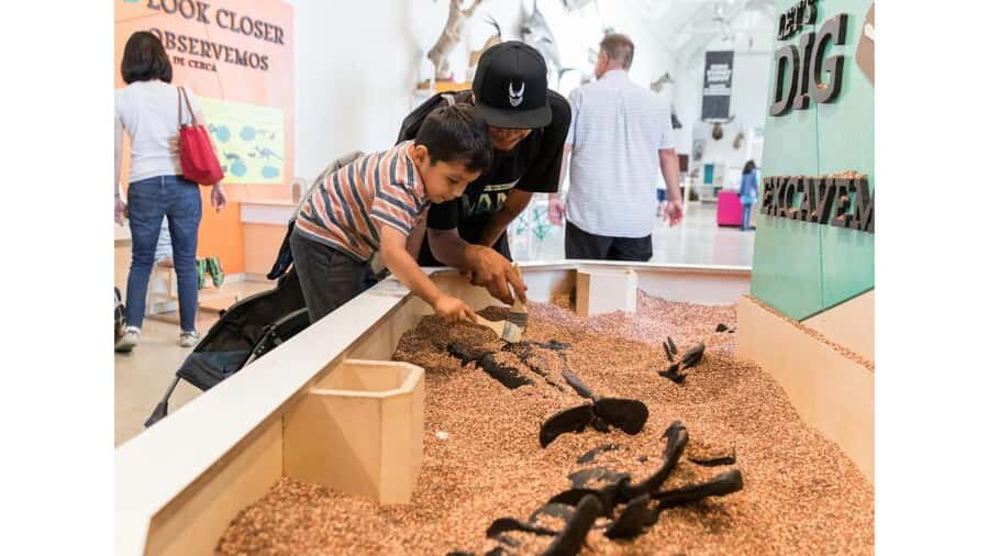 Natural History Museum LA: Entry + Fierce! The Story of Cats - Exploring the Rest of the Museum