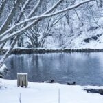 Natural Treasures of Northern Azerbaijan in 5 Days - Practical Considerations & Value