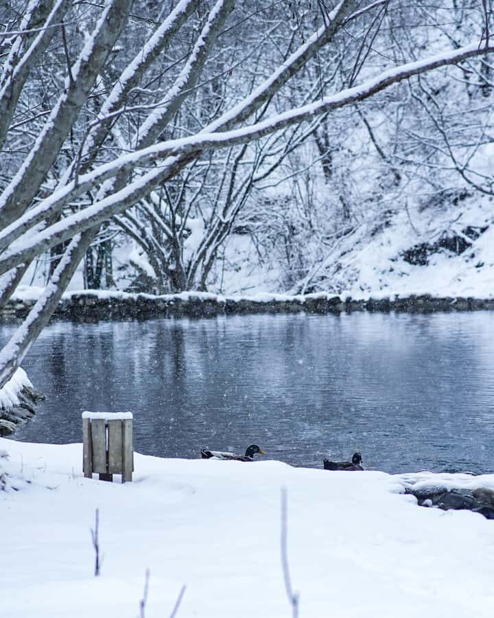 Natural Treasures of Northern Azerbaijan in 5 Days - Practical Considerations & Value