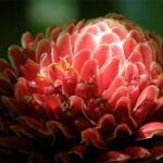 Natural Wonders of Barbados Small-Group with Harrison's Cave - Overall Value and Suitability