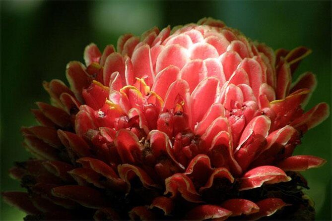 Natural Wonders of Barbados Small-Group with Harrison's Cave - Overall Value and Suitability