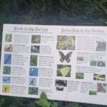 Nature and Sightseeing at Phantasea Tropical Botanical Garden - Practical Tips for Visitors