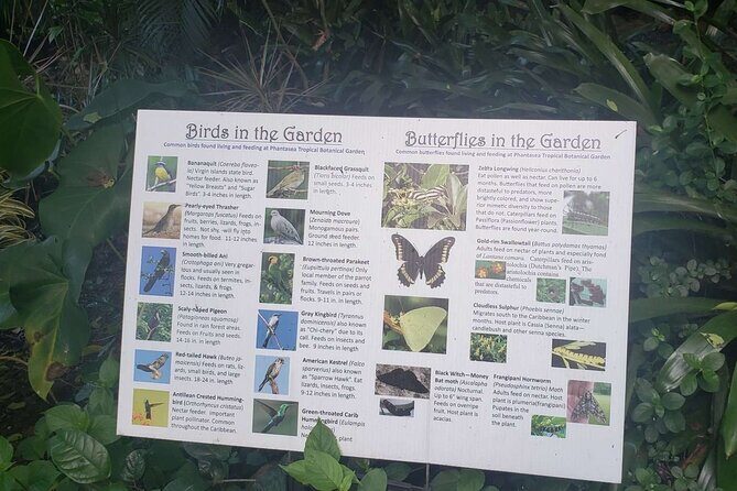 Nature and Sightseeing at Phantasea Tropical Botanical Garden - Practical Tips for Visitors