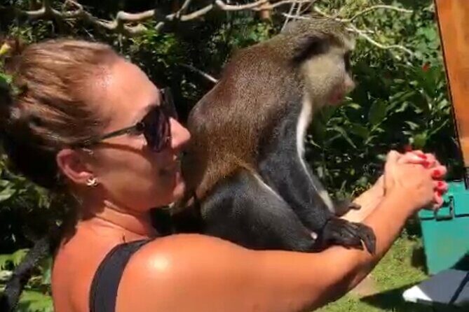 Nature Lovers: Grand Etang Lake & Annandale Falls - The Practicalities: What You Need to Know