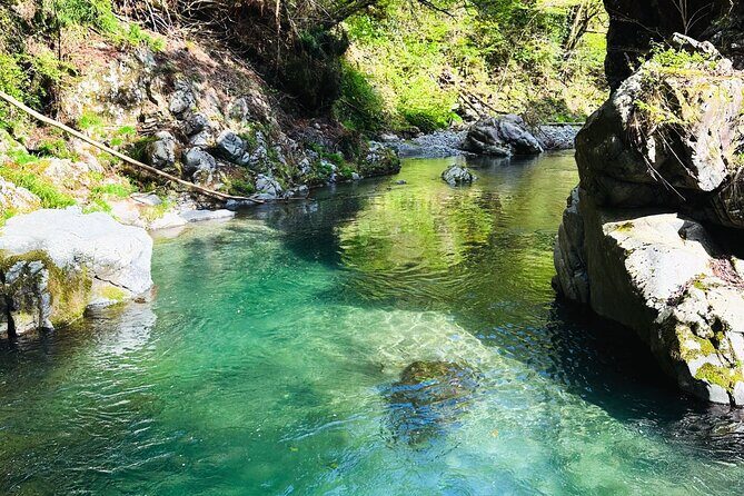 nature retreat and sound meditation - The Hosts and Their Unique Touches