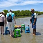 Negombo: Lagoon Boat Tour with hotel transfers & fruit snak - The Lagoon and Its Wildlife