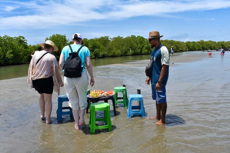 Negombo: Lagoon Boat Tour with hotel transfers & fruit snak - The Lagoon and Its Wildlife