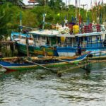 Negombo Lagoon & Muthurajawela Boat Tour - A Closer Look at the Tour Experience