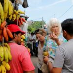 Negombo: private half day city tour with hotel transfers - Practical Details