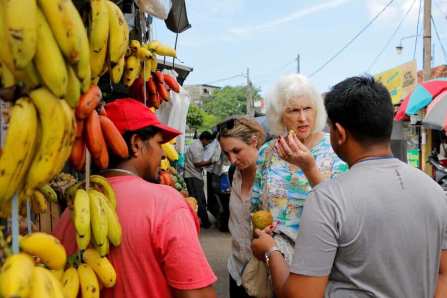 Negombo: private half day city tour with hotel transfers - Practical Details