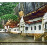 Negombo: To Sigiriya & Dambulla Private Tour with Lunch - How Does It Compare to Similar Experiences?