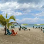 Negril 7 Mile Beach and Rick's Cafe day tour from Montego Bay - Value and Practical Aspects