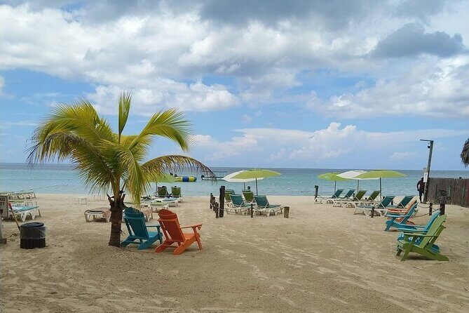 Negril 7 Mile Beach and Rick's Cafe day tour from Montego Bay - Value and Practical Aspects