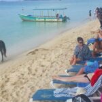 Negril Beach & Rick's Cafe Full Day Tour - Detailed Breakdown of the Itinerary