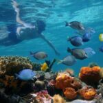 Negril Glass Bottom Boat Tour Snorkeling and Booby Cay - FAQ