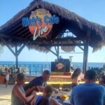 Negril Private 7 Miles Beach and Ricks Cafe Tour from Montego Bay - The Practical Details