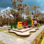 Negril: Private Snorkeling, Ricks Cafe, and Margaritaville - The Itinerary in Detail