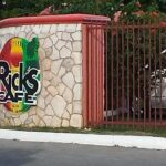 Negril seven Miles Beaches & Shopping Only | Spend more time on the Beach: - Authentic Experiences and Genuine Feedback