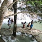 Negril to Dunn's River Small Group Tour - The Experience of Dunn’s River Falls & Park