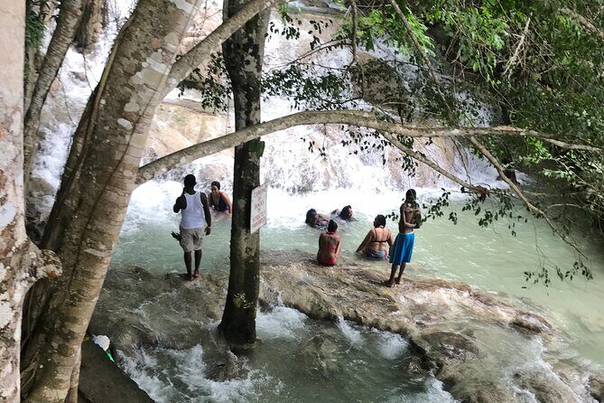 Negril to Dunn's River Small Group Tour - The Experience of Dunn’s River Falls & Park