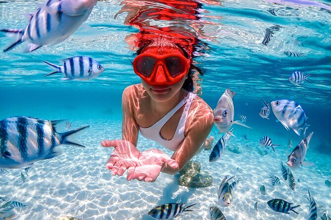 Nemo Island and Big Buddha Mountain Snorkeling from Bangkok - What Makes This Tour Special