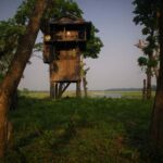 Nepal: Chitwan National Park 3-Day Jungle Tower Stay - The Accommodation: From Tower to Deluxe Comfort