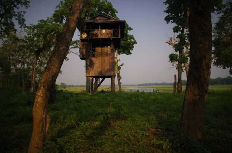 Nepal: Chitwan National Park 3-Day Jungle Tower Stay - The Accommodation: From Tower to Deluxe Comfort