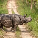 Nepal Tour: Kathmandu, Pokhara & Chitwan Park - Exploring Kathmandu: The Heart of Nepali Culture