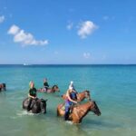 Nevis: Private Horseback Ride and Swim in the Caribbean Sea - Why Choose This Experience?