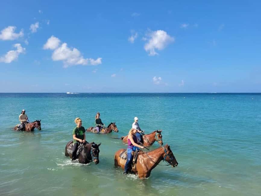 Nevis: Private Horseback Ride and Swim in the Caribbean Sea - Why Choose This Experience?
