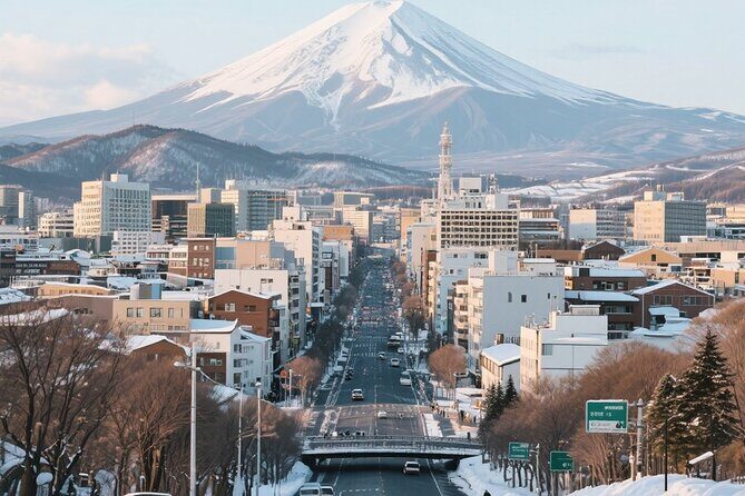 New Chitose Airport(CTS): Private Transfer to/from Niseko/Sapporo - The Experience: What to Expect During Your Transfer