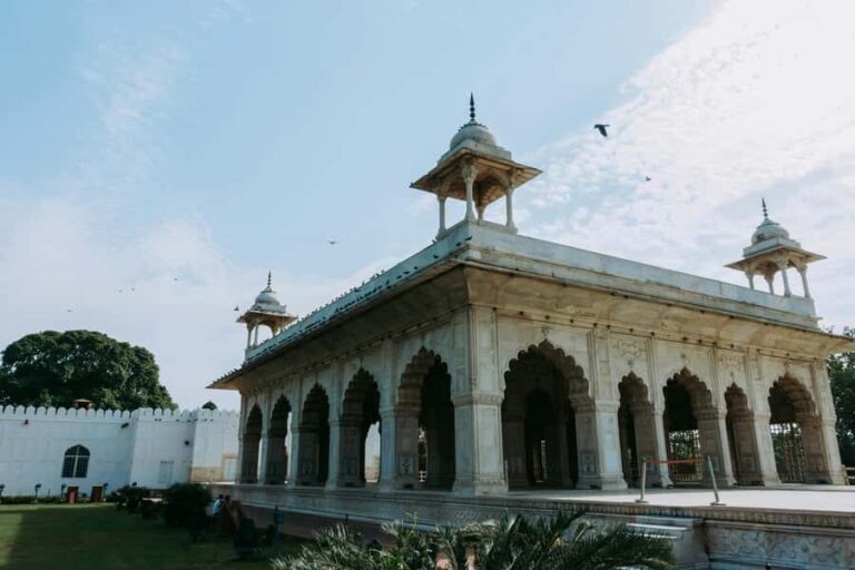 New Delhi: Red Fort Tour with Transfers :Choose form Option - What Youll Experience: A Step-by-Step Breakdown