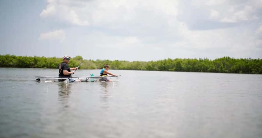 New Smyrna Beach: Guided Clear Kayak Tour with Wildlife - The Practical Side: Details That Matter