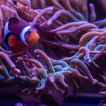 New York Aquarium Entry Ticket - The Practicalities