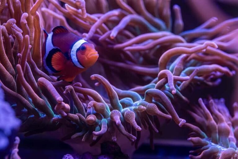 New York Aquarium Entry Ticket - The Practicalities