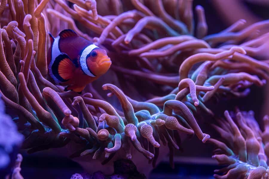 New York Aquarium Entry Ticket - The Practicalities