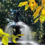 New York: Central Park Selfie Tour with Photographer - What to Expect on the Tour