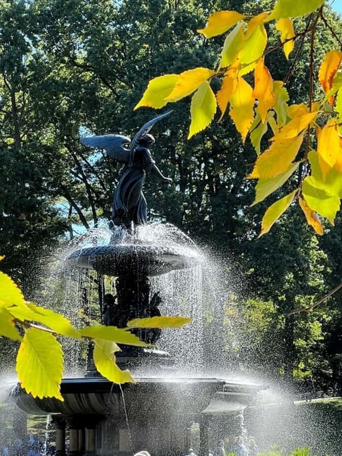 New York: Central Park Selfie Tour with Photographer - What to Expect on the Tour