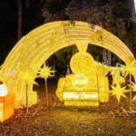 New York City Fantasy Winter Fairyland Lumino City 1 Day Tour - What Travelers Say About the Festival