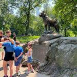 New York: Manhattan Highlights - Central Park & Rich areas - Authentic Experiences and Honest Insights