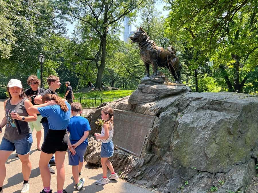 New York: Manhattan Highlights - Central Park & Rich areas - Authentic Experiences and Honest Insights