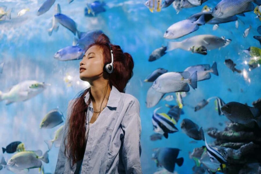 Nha Trang: City Highlights Tour with Local Guide - The Itinerary Breakdown