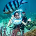 Nha Trang: Coral Bay Sea Walking Tour with Lunch - The Itinerary Breakdown