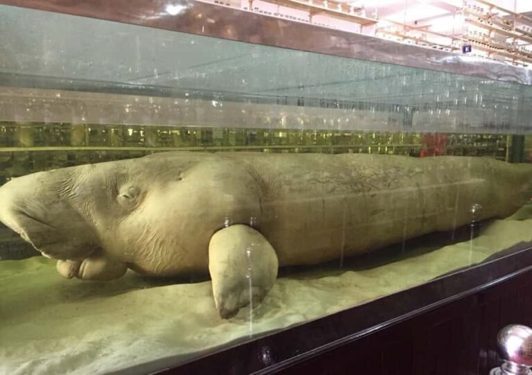 Nha Trang Half-Day City Tour with Lunch - Practical Details and What to Expect